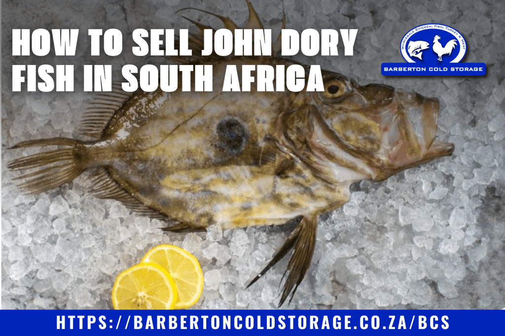 How to Sell John Dory Fish in South Africa – Profit Tips for Spaza ...